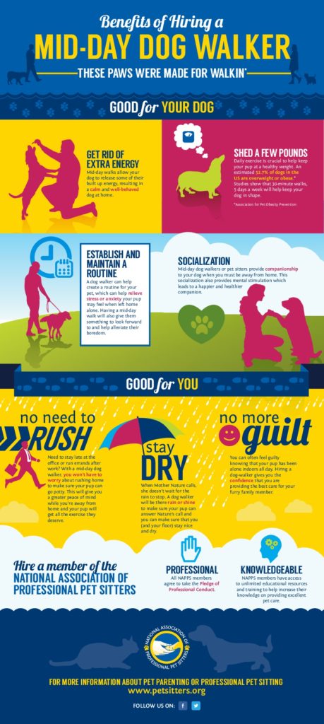 Daily Dog Walks – Big Cedar Pet Care - Pet Sitting and Dog Walking Services